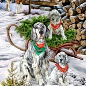 Holiday | English Setter Blue Christmas Towel | Poshmark